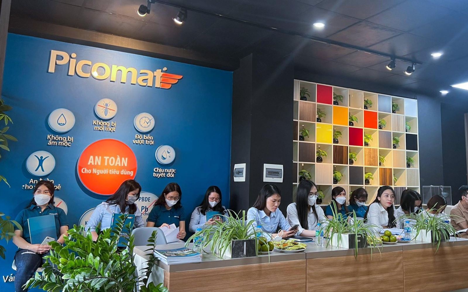 PCH: Nhựa Picomat dự trình kế hoạch kinh doanh đi ngang, tăng vốn lên ...