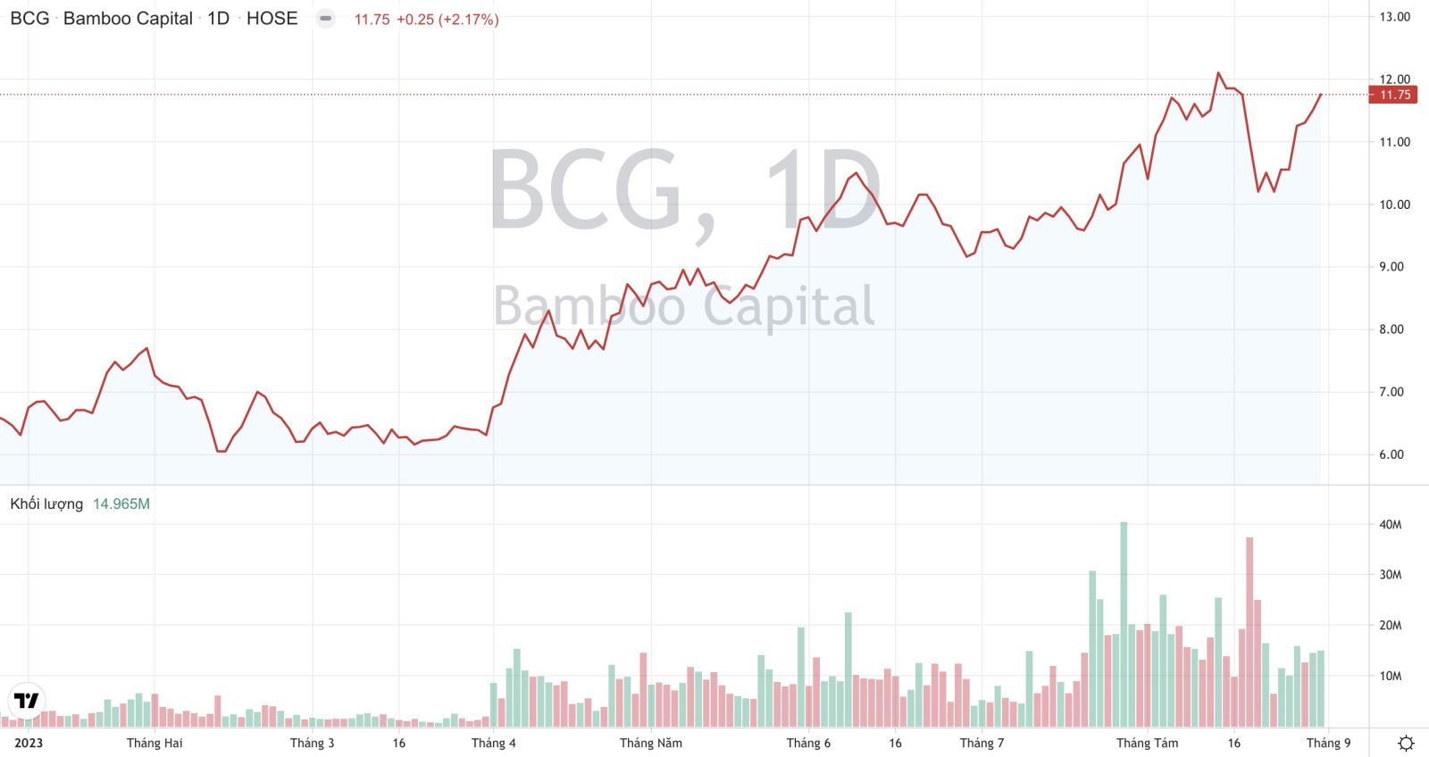 BCG Energy: Báo lãi ròng nửa đầu năm 2023 giảm 97% ngay trước thềm IPO