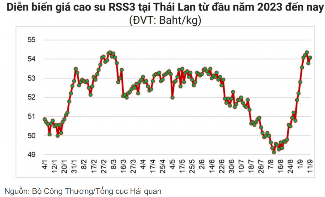 Thị trường cao su có thể sớm tăng trưởng trở lại