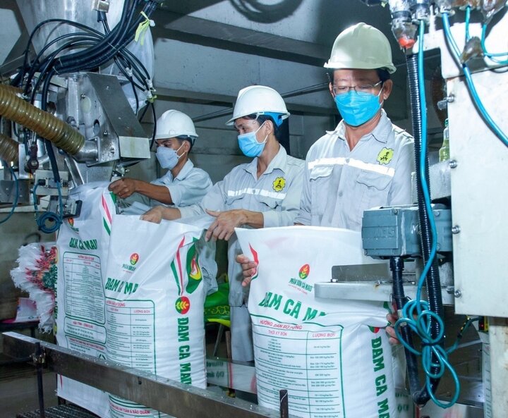 DCM: PVCFC bảo đảm hiệu quả hoạt động sản xuất, kinh doanh