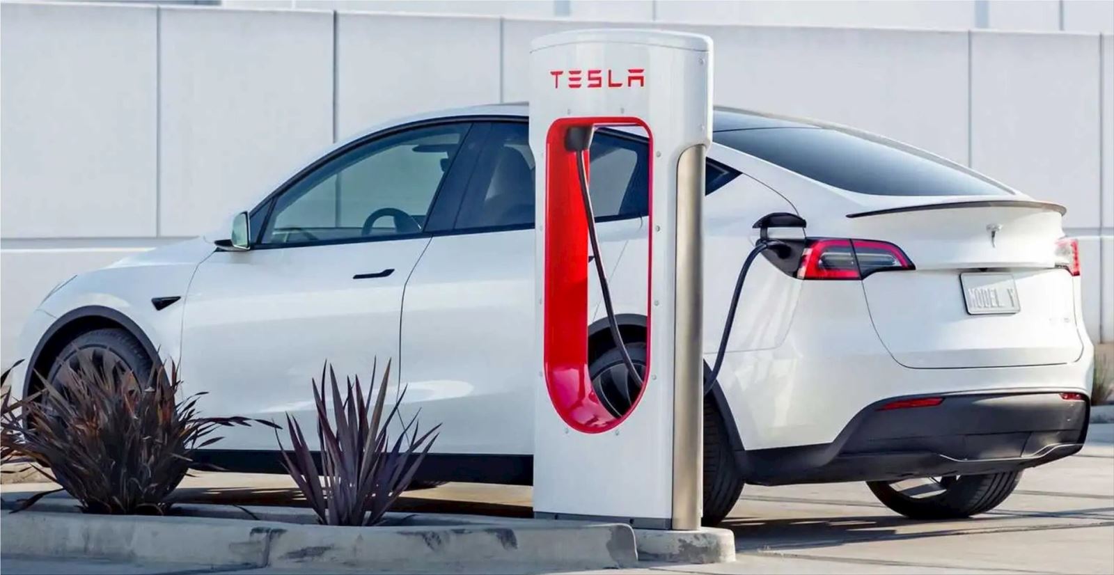 Tesla khai phá 'mỏ vàng' mới: thu nhập khéo còn 'ngon' hơn bán xe điện ...