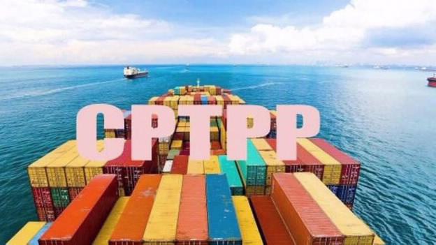 Vương quốc Anh gia nhập CPTPP sẽ mở rộng cơ hội tiếp cận thị trường cho hàng hóa Việt Nam