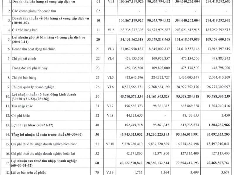 LNST tăng trưởng chủ yếu từ doanh thu hoạt động tà...