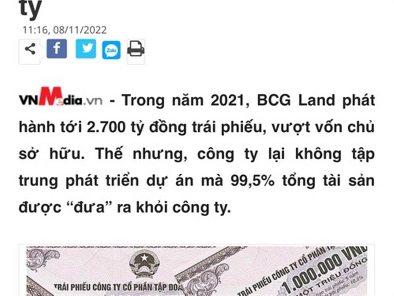 https://vnmedia.vn/kinh-te/dau-tu/202211/bcg-land-...