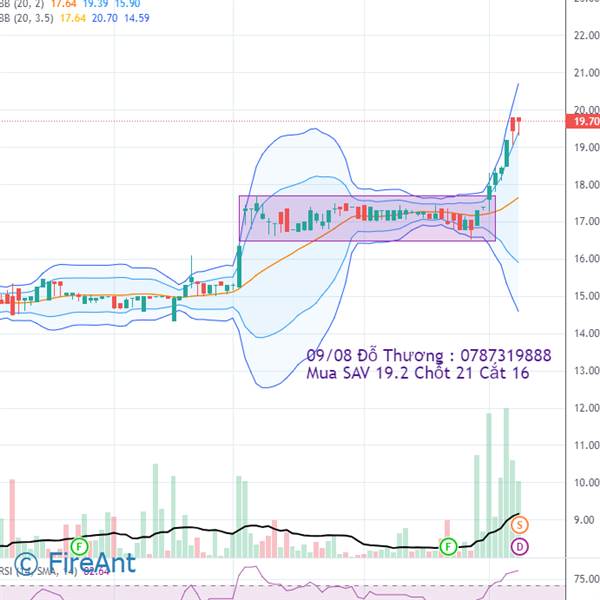 SAV - CTCP Hợp tác kinh tế và Xuất nhập khẩu Savimex