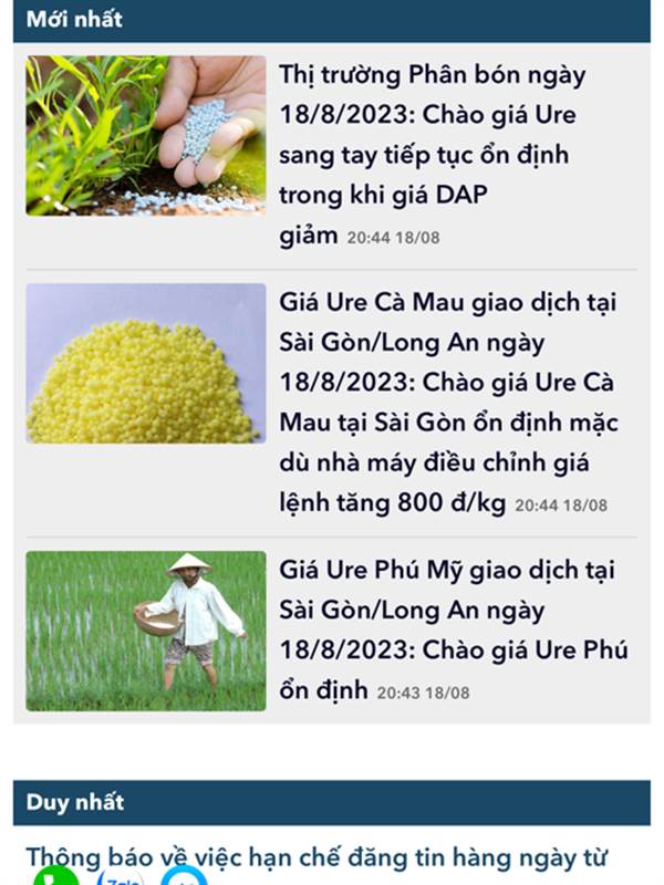 giá photpho vàng vẫn đà tăng bán k còn cơ hội mua ...
