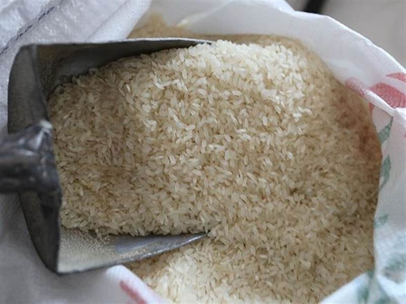 Châu Á lo ngại lạm phát cao theo đà tăng của giá gạo