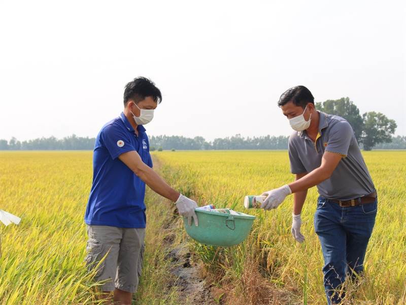 LTG: Lộc Trời đồng hành cùng nông dân phát triển lúa gạo bền vững