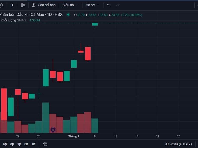 𝐁𝐥𝐨𝐨𝐦𝐛𝐞𝐫𝐠: 𝐓𝐫𝐮𝐧𝐠 𝐐𝐮𝐨̂́𝐜 𝐲𝐞̂𝐮 ...