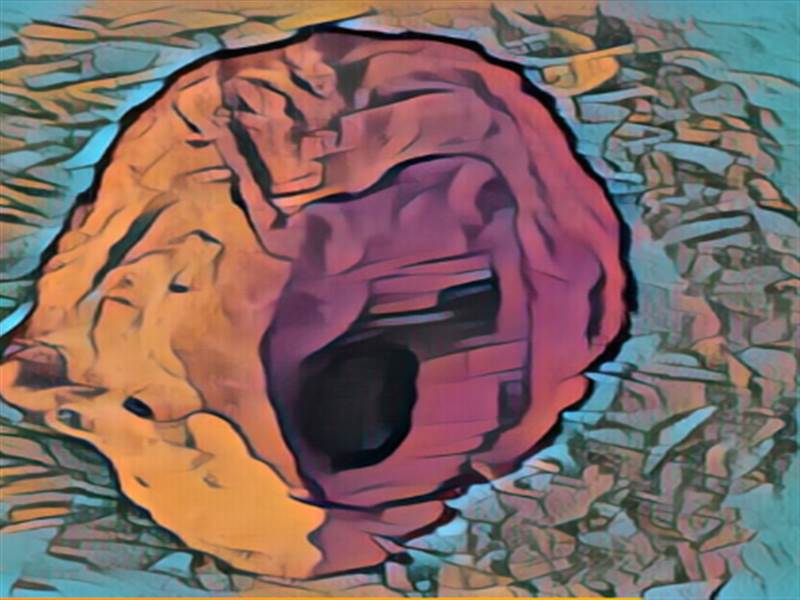 APS: Chuyển từ lãi sang lỗ 136 tỷ sau soát xét