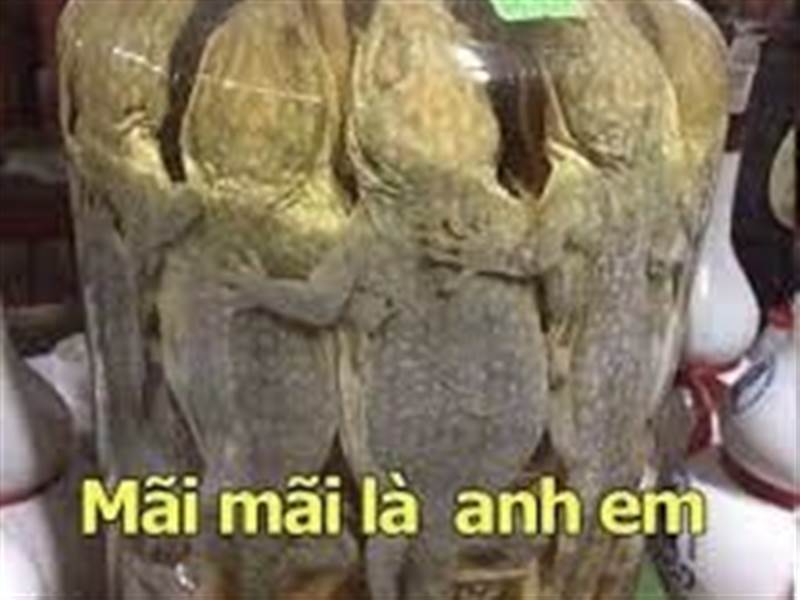 Mãi là anh em, cùng tiến cùng lui.