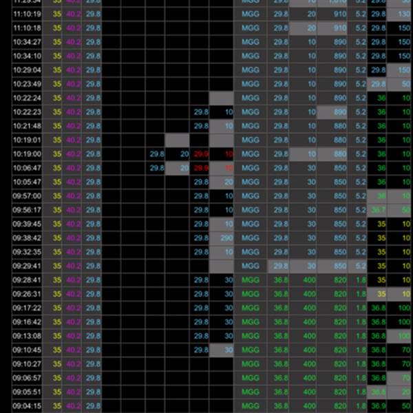 MGG - Tổng Công ty Đức Giang - CTCP