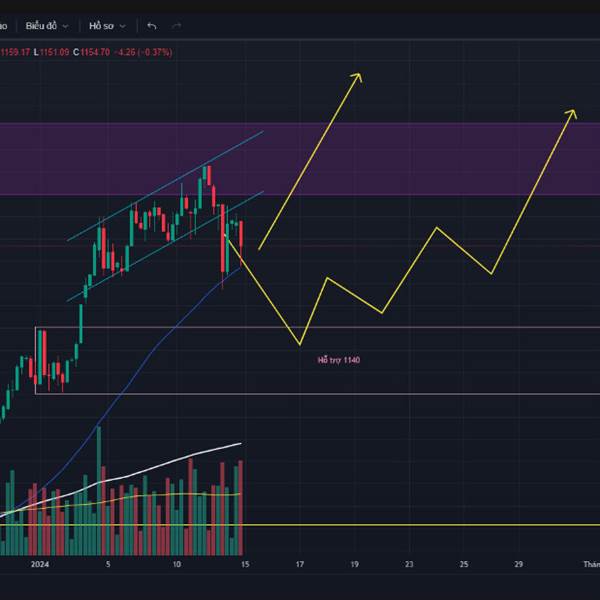 NKG - CTCP Thép Nam Kim