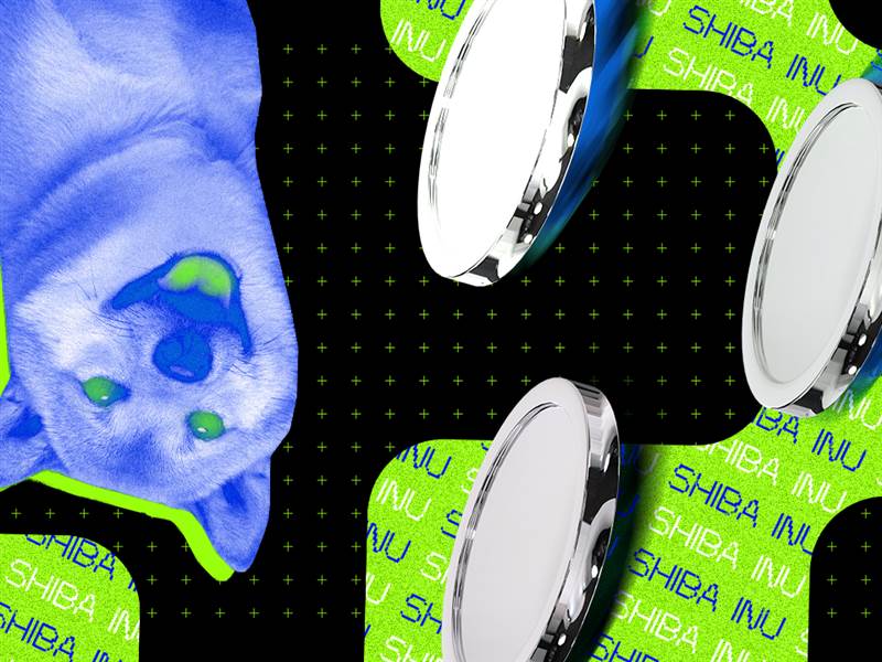 Phân tích và dự đoán memecoin 2/2024: Cơ hội giao dịch nào cho DOGE ...