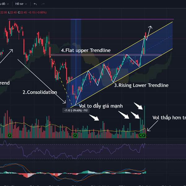 LTG - CTCP Tập đoàn Lộc Trời