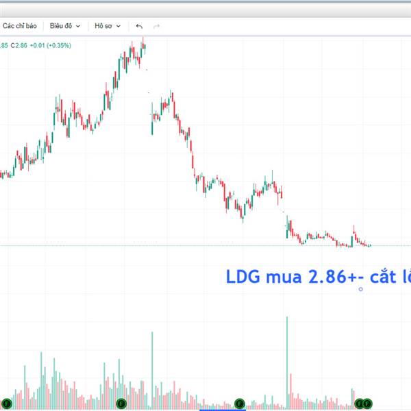 LDG - CTCP Đầu tư LDG