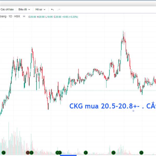 LDG - CTCP Đầu tư LDG