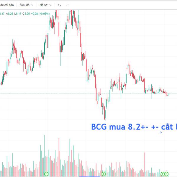 LDG - CTCP Đầu tư LDG