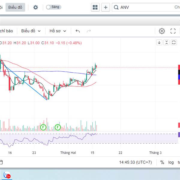 ANV - CTCP Nam Việt