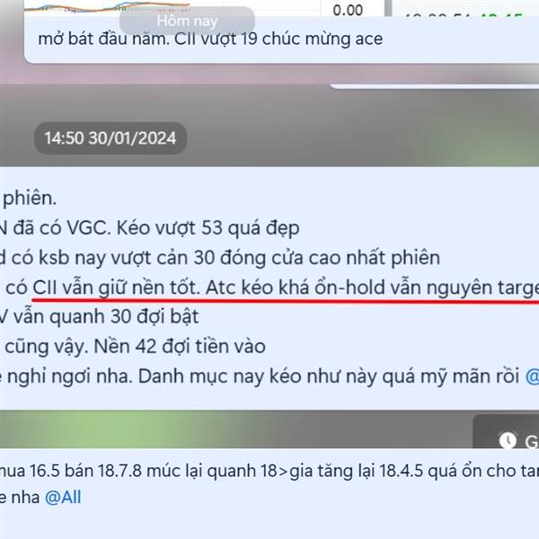 ANV - CTCP Nam Việt