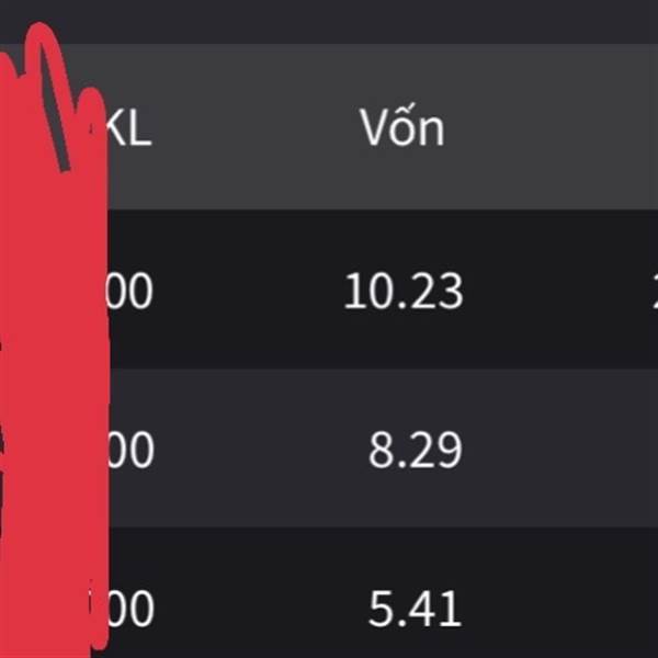TNT - CTCP Tập đoàn TNT