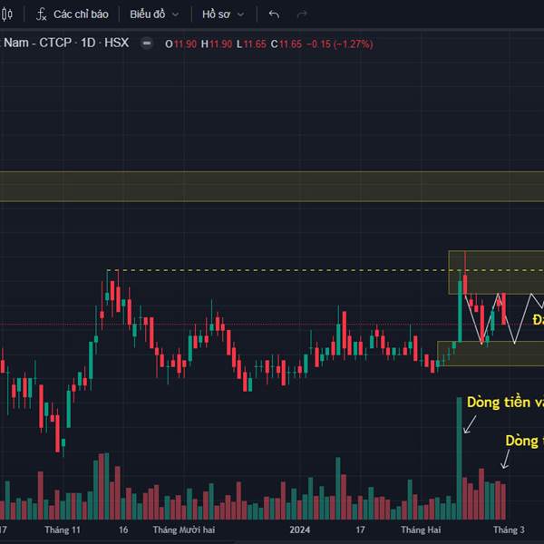 POW - Tổng Công ty Điện lực Dầu khí Việt Nam - CTCP