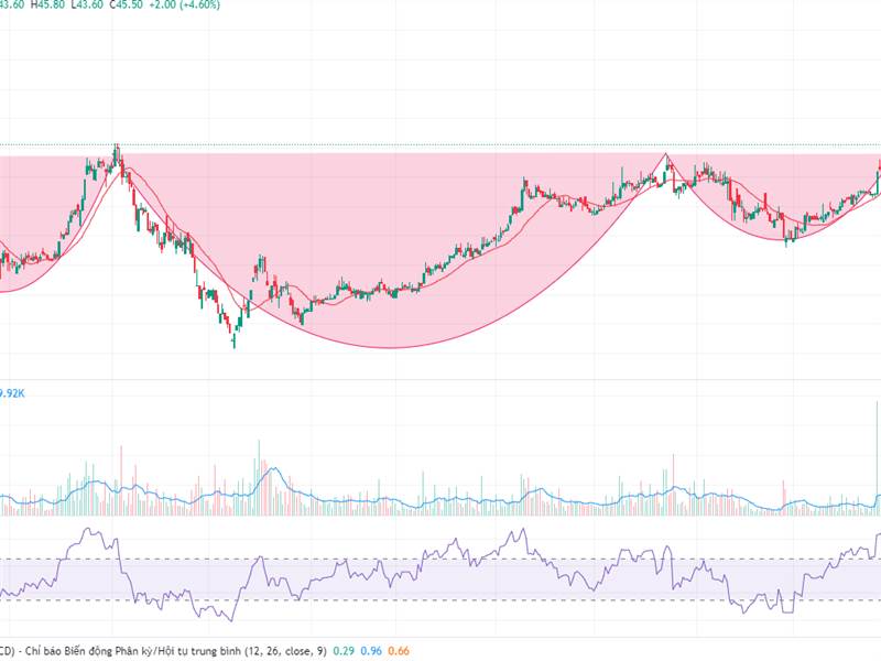 L18 và *n thể loại cốc - chén thánh :D