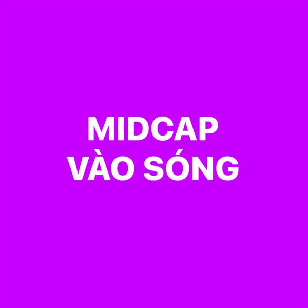 VGS - CTCP Ống thép Việt - Đức VG PIPE