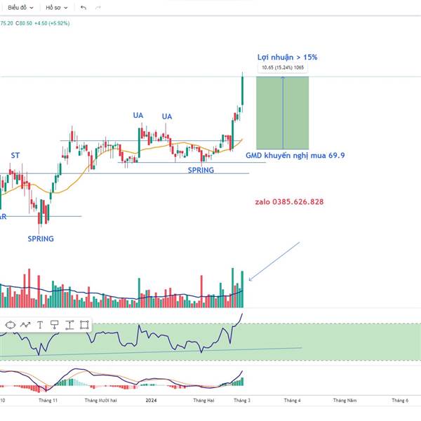 VGS - CTCP Ống thép Việt - Đức VG PIPE