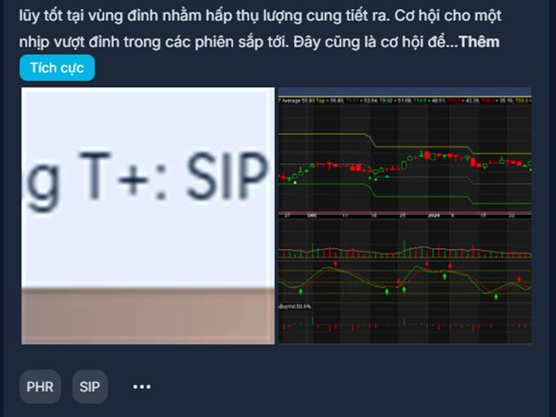 PHR, SIP Anh/Chị cx chỉ cần kiên nhẫn là có thành ...