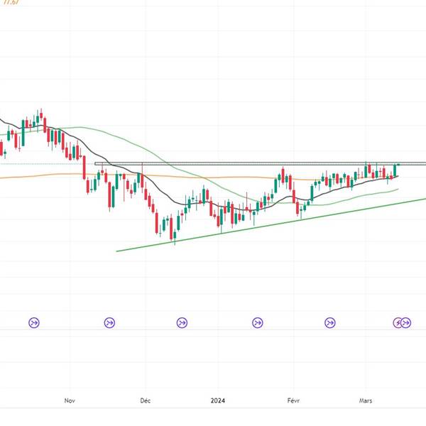 PND - CTCP Xăng dầu Dầu khí Nam Định