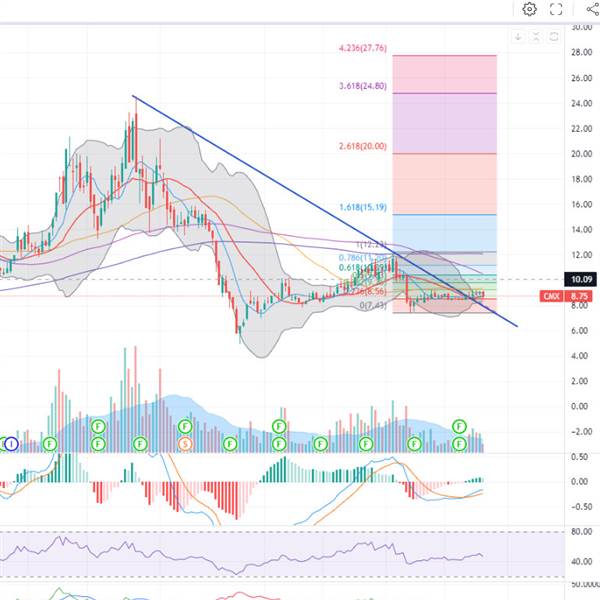 CMX - CTCP Camimex Group