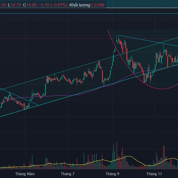 VGS - CTCP Ống thép Việt - Đức VG PIPE