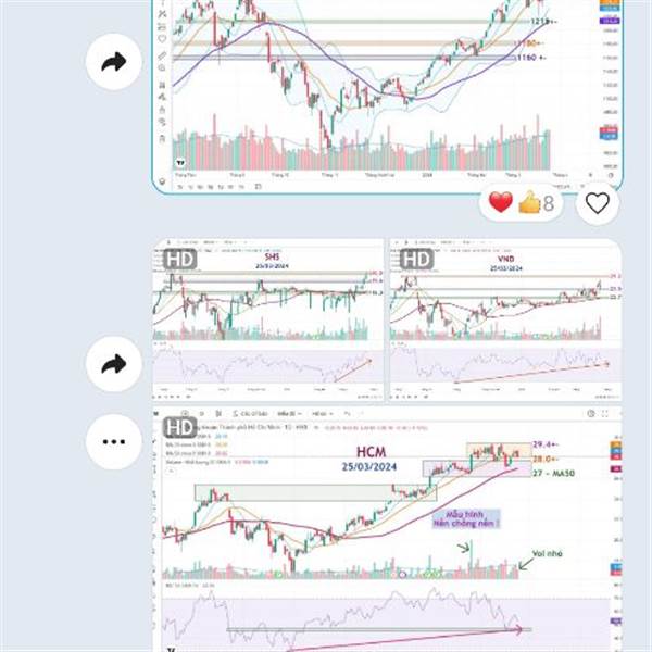 ANV - CTCP Nam Việt