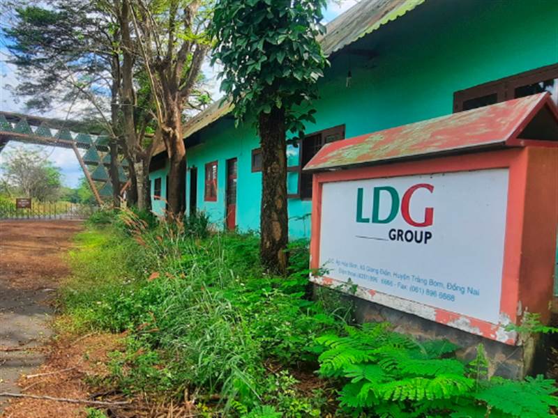 LDG: Cổ đông Đầu tư LDG đón tin vui