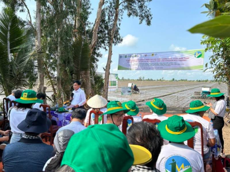 "Lúa xanh", gạo ngon, nông dân lợi kép