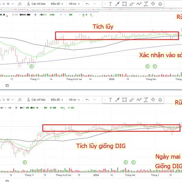 ASM - CTCP Tập Đoàn Sao Mai