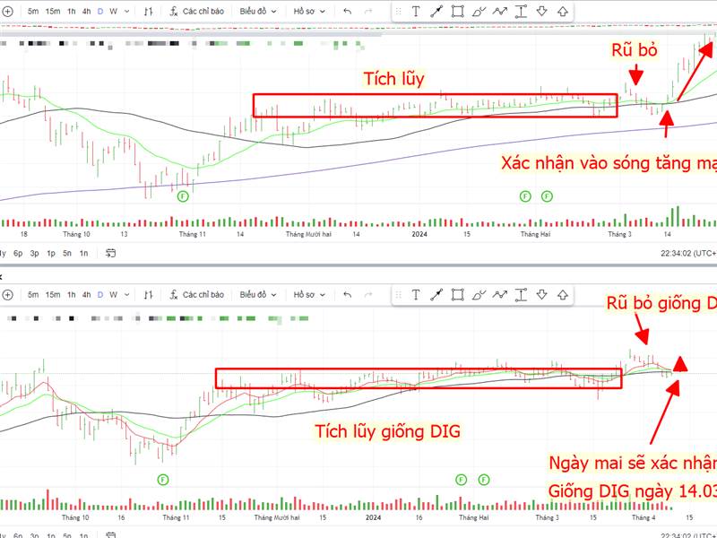 🚀 "1 SIÊU CỔ PHIẾU GIỐNG DIG - ĐANG XÁC NHẬN MẪU ...