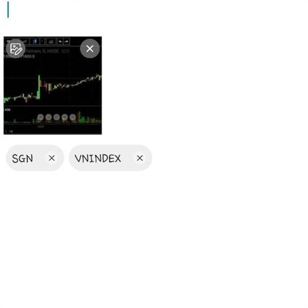 SGN - CTCP Phục vụ mặt đất Sài Gòn