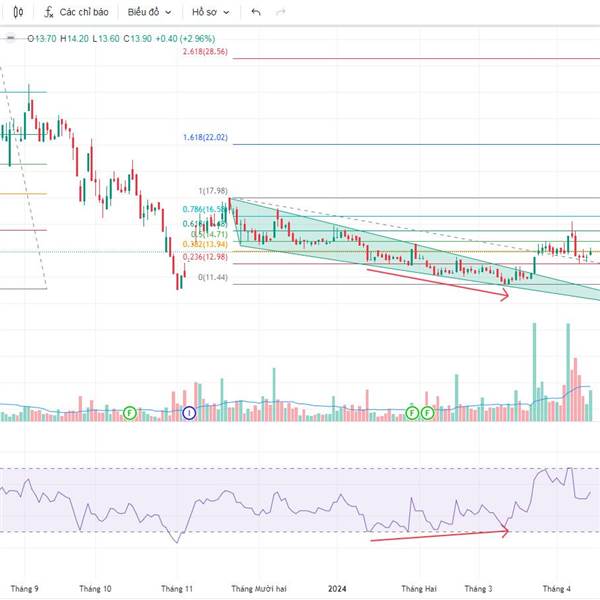 VC7 - CTCP Tập đoàn BGI