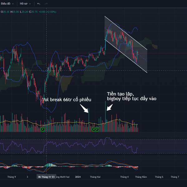 VGS - CTCP Ống thép Việt - Đức VG PIPE