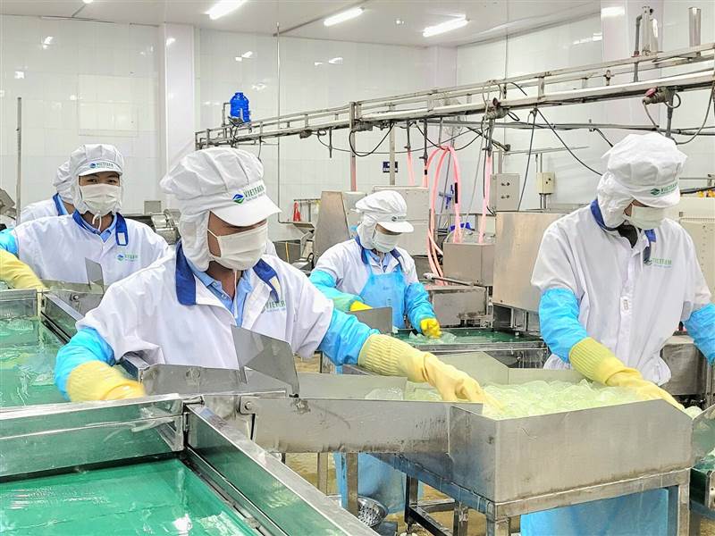 GCF: Doanh thu quý 1 của GC Food đạt 119 tỷ nhờ nha đam và thạch dừa