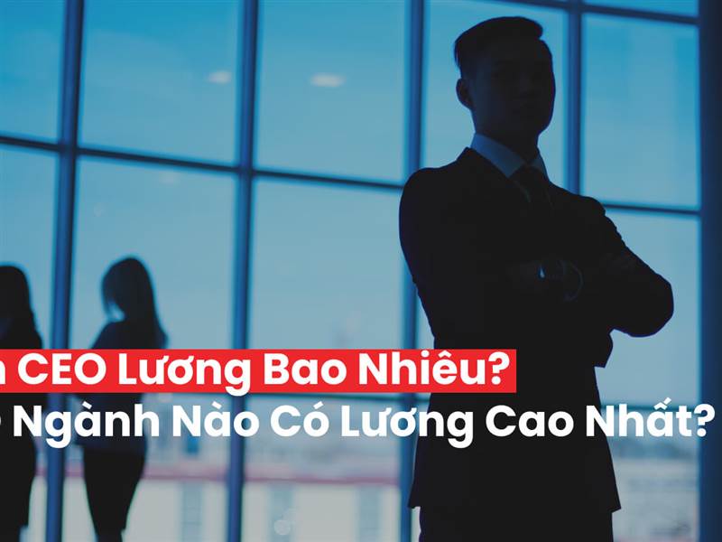 Lương chủ tịch, CEO các doanh nghiệp tiếng tăm hiện nay