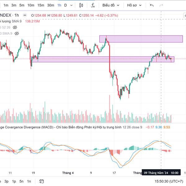 CEO - CTCP Tập đoàn C.E.O