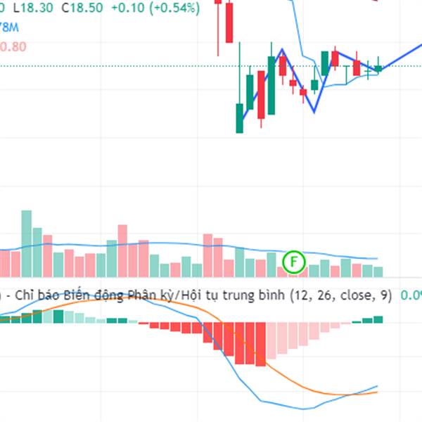 CEO - CTCP Tập đoàn C.E.O