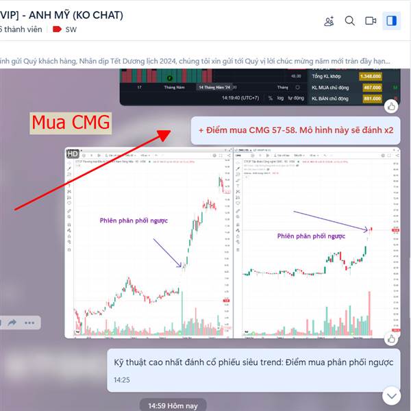 TNG - CTCP Đầu tư và Thương mại TNG