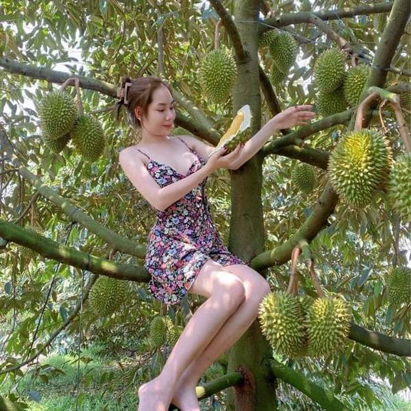 MBS - CTCP Chứng khoán MB