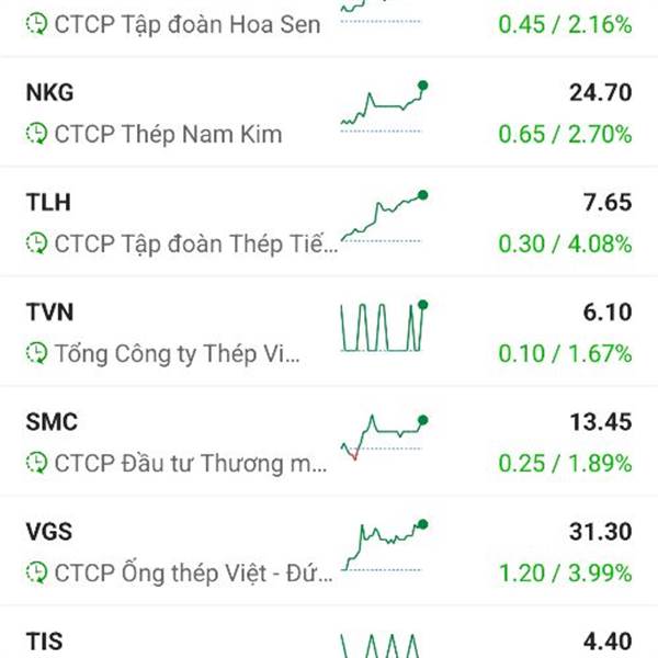 TIS - CTCP Gang thép Thái Nguyên