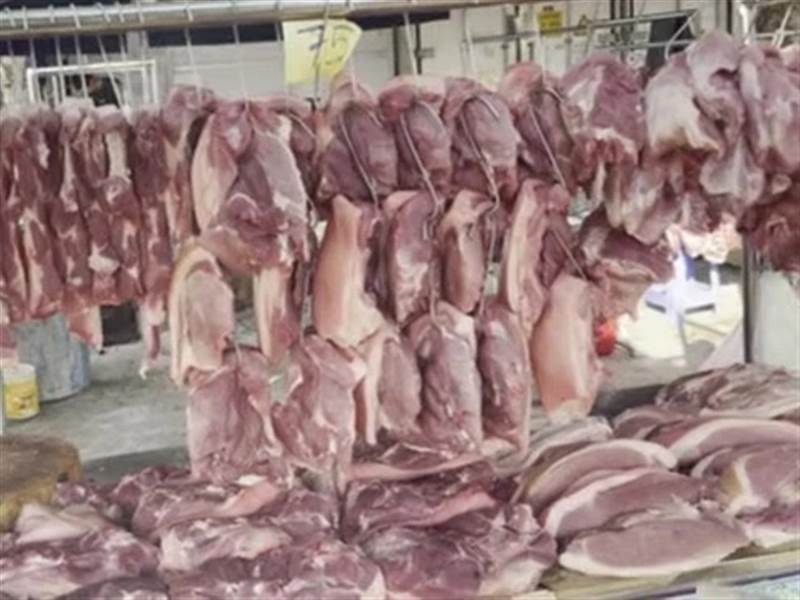 Heo hơi duy trì mức cao nhất 67.000 đồng/kg và giá...