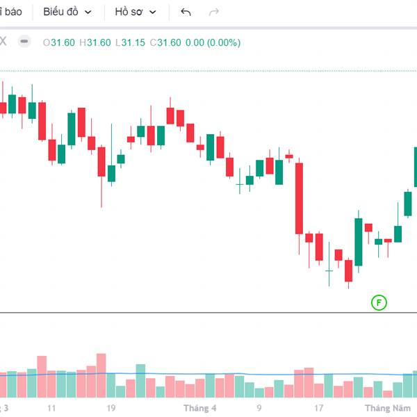 VGS - CTCP Ống thép Việt - Đức VG PIPE